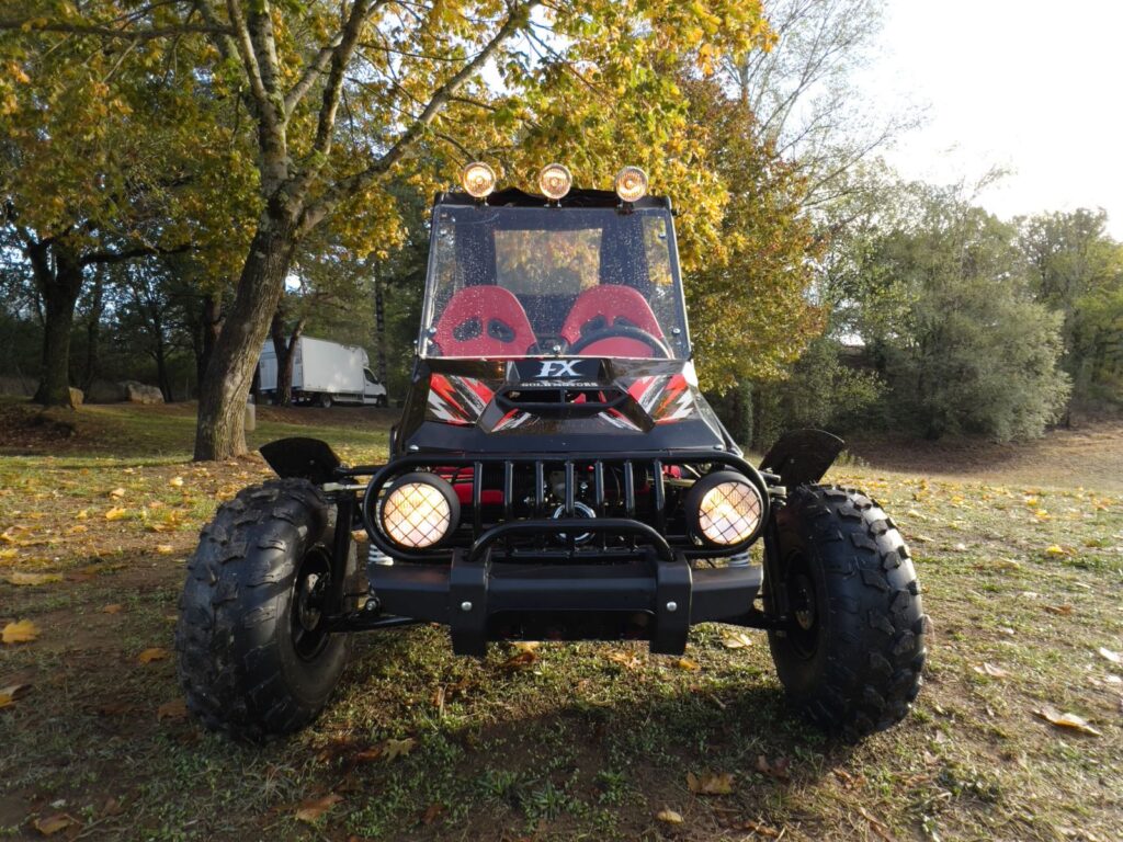 Buggy 2 places 150cc pour enfant ados et adultes
